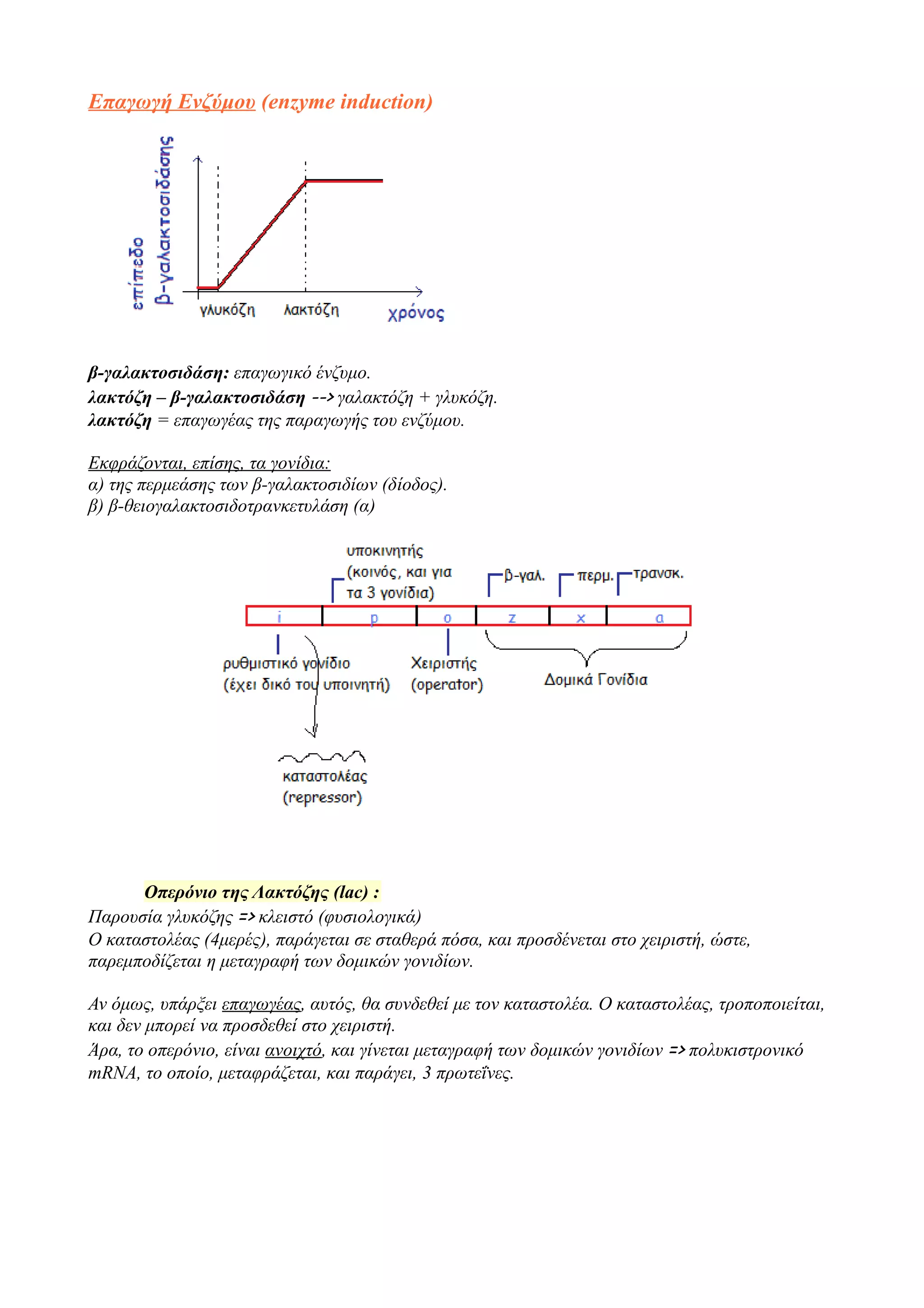 Γονιδιακή Ρύθμιση | PDF
