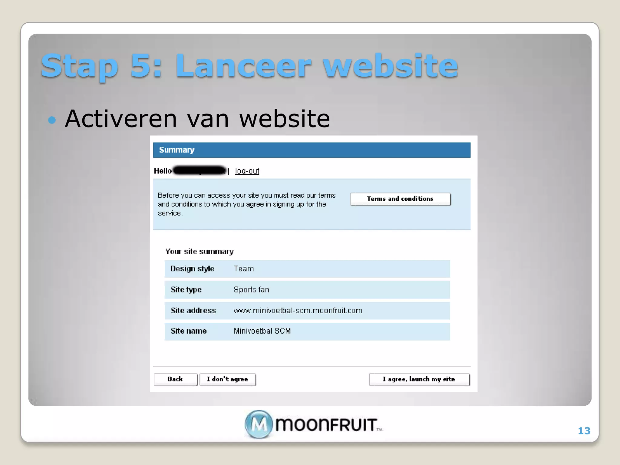 Groepswerk Moonfruit | PPT