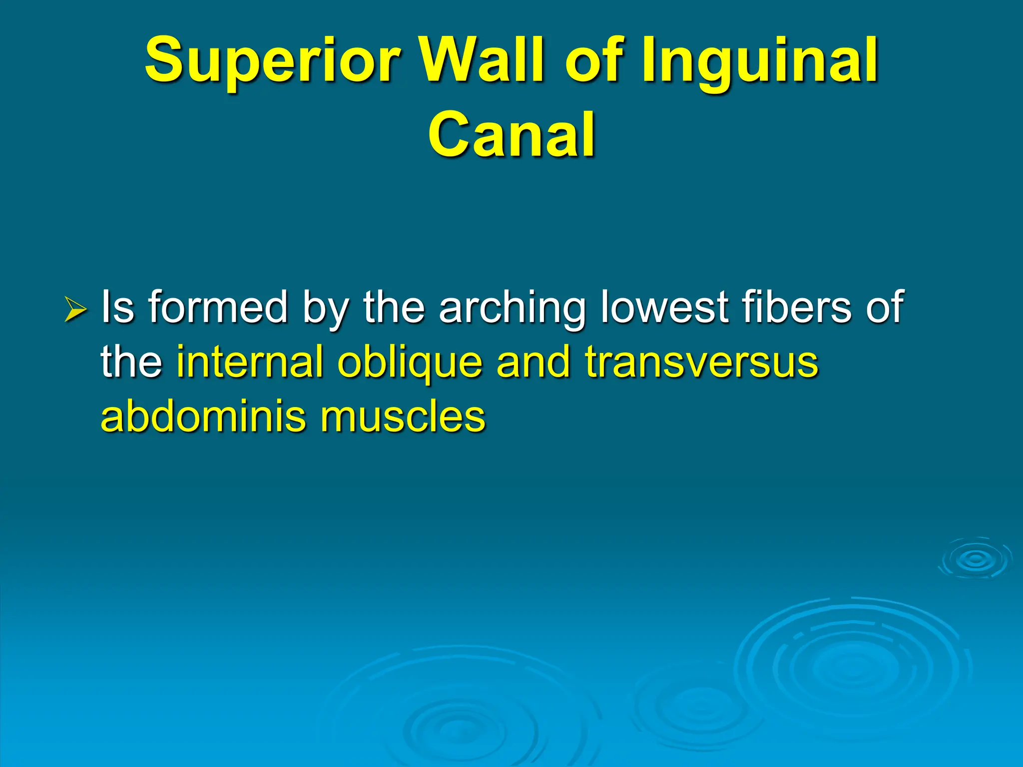 Groin anatomy inguinal hernia clinical anatomy | PPT