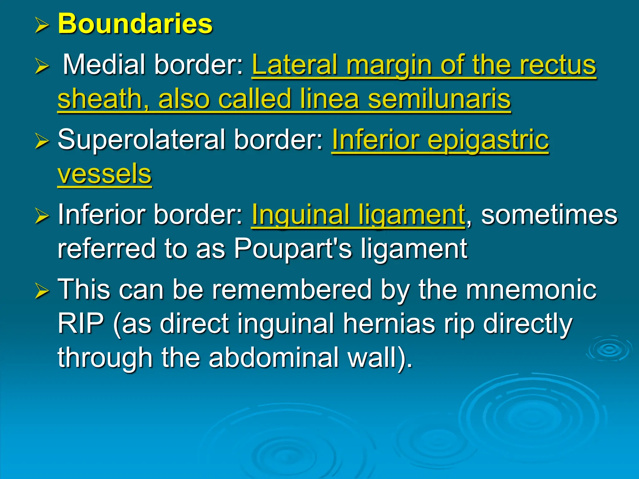 Groin anatomy inguinal hernia clinical anatomy | PPT