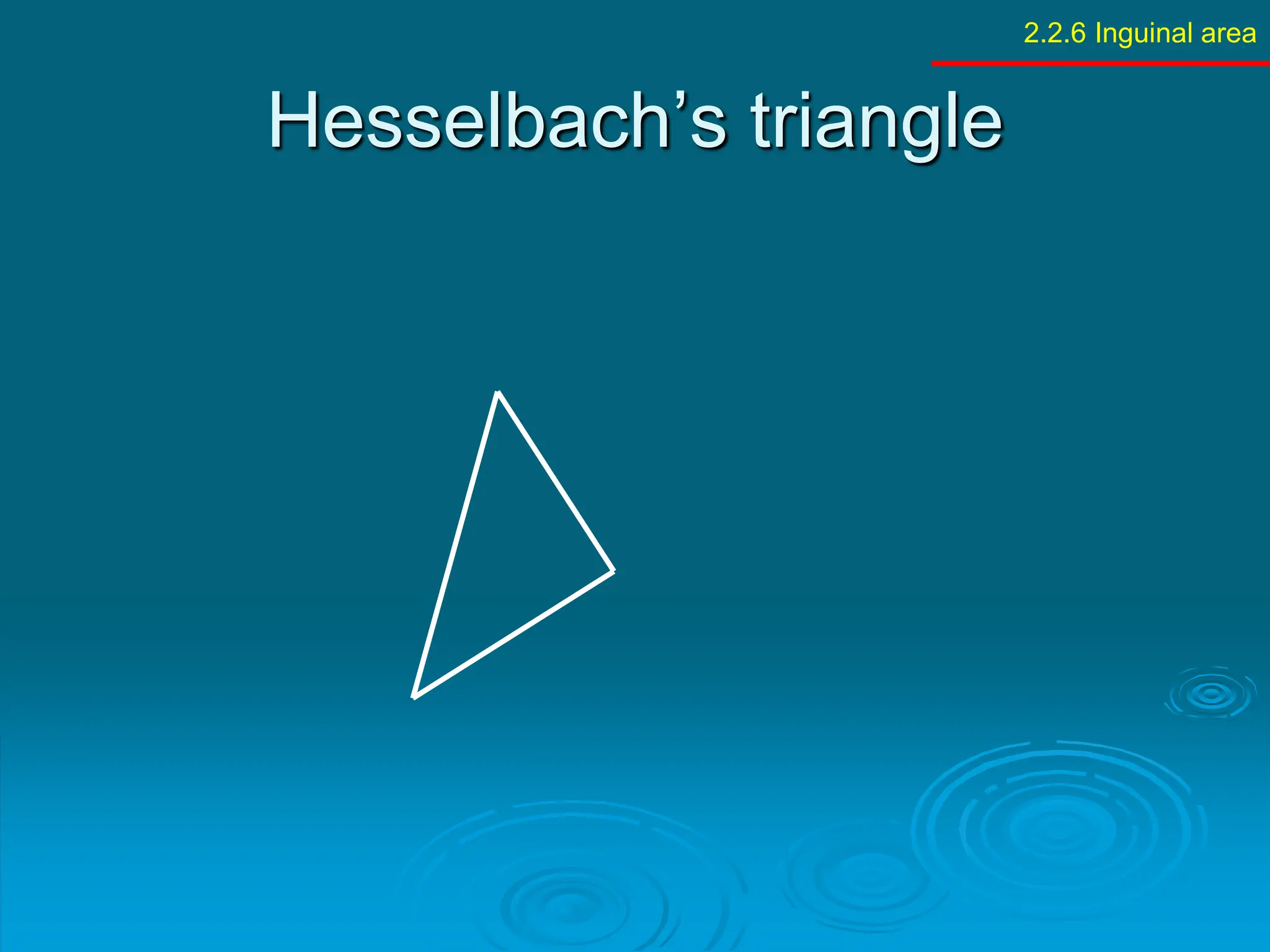 Groin anatomy inguinal hernia clinical anatomy | PPT