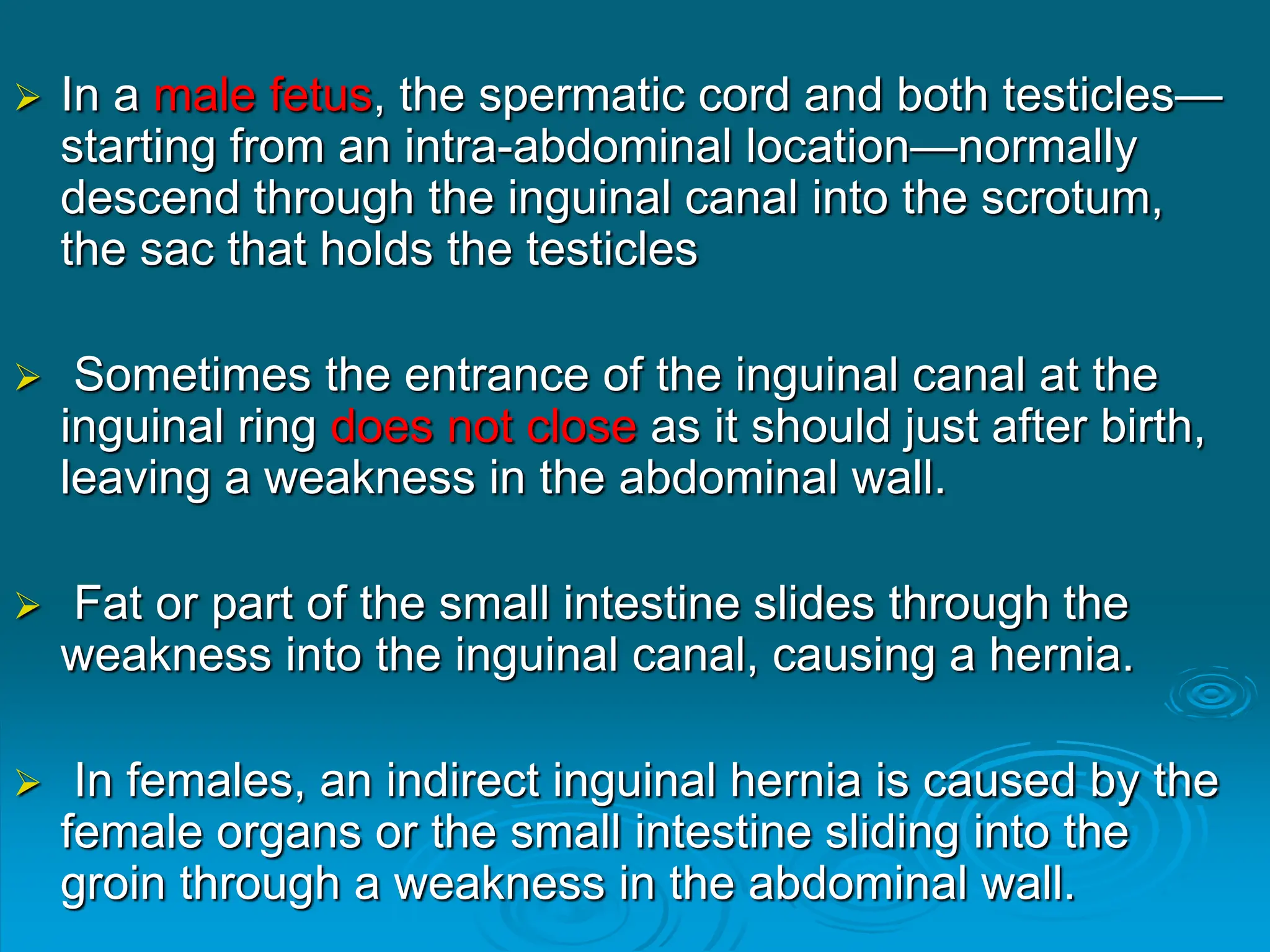 Groin anatomy inguinal hernia clinical anatomy | PPT