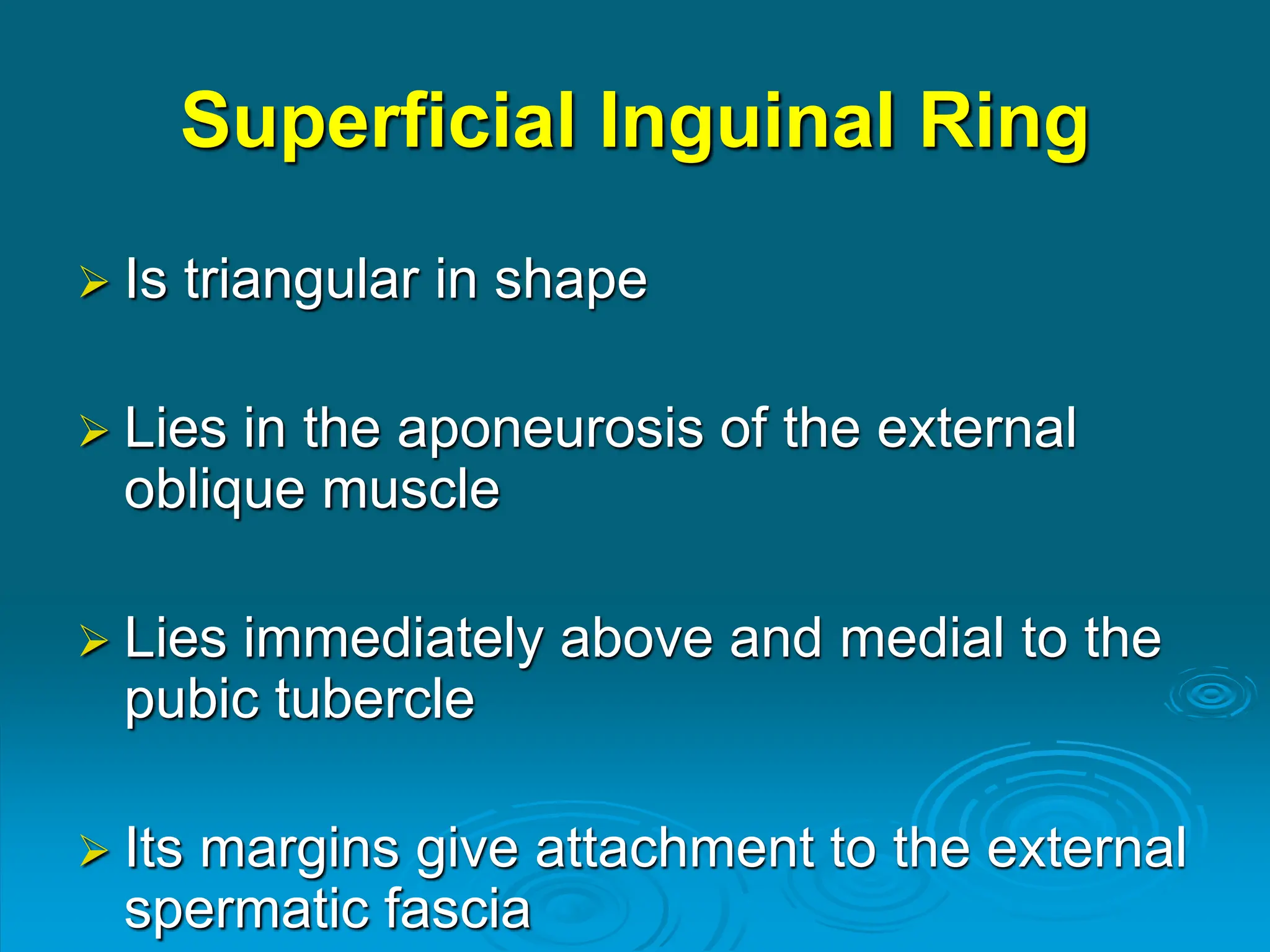 Groin anatomy inguinal hernia clinical anatomy | PPT