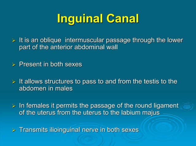 Groin anatomy inguinal hernia clinical anatomy | PPT | Death, Injury ...