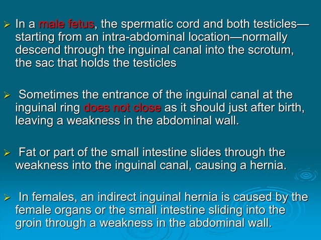 Groin anatomy inguinal hernia clinical anatomy | PPT | Death, Injury ...