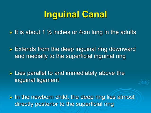 Groin anatomy inguinal hernia clinical anatomy | PPT | Death, Injury ...