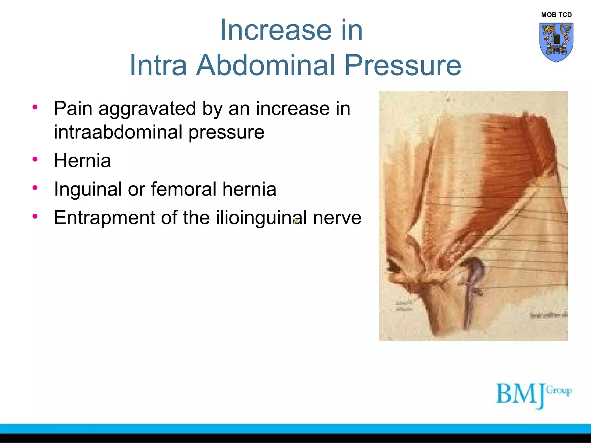 Anatomy of Groin | PPT
