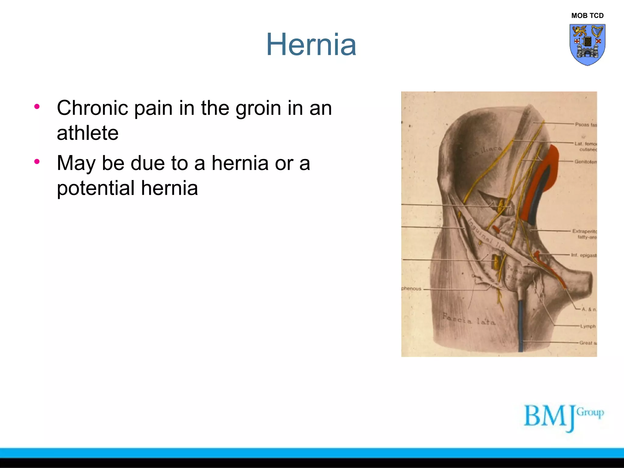 Anatomy of Groin | PPT
