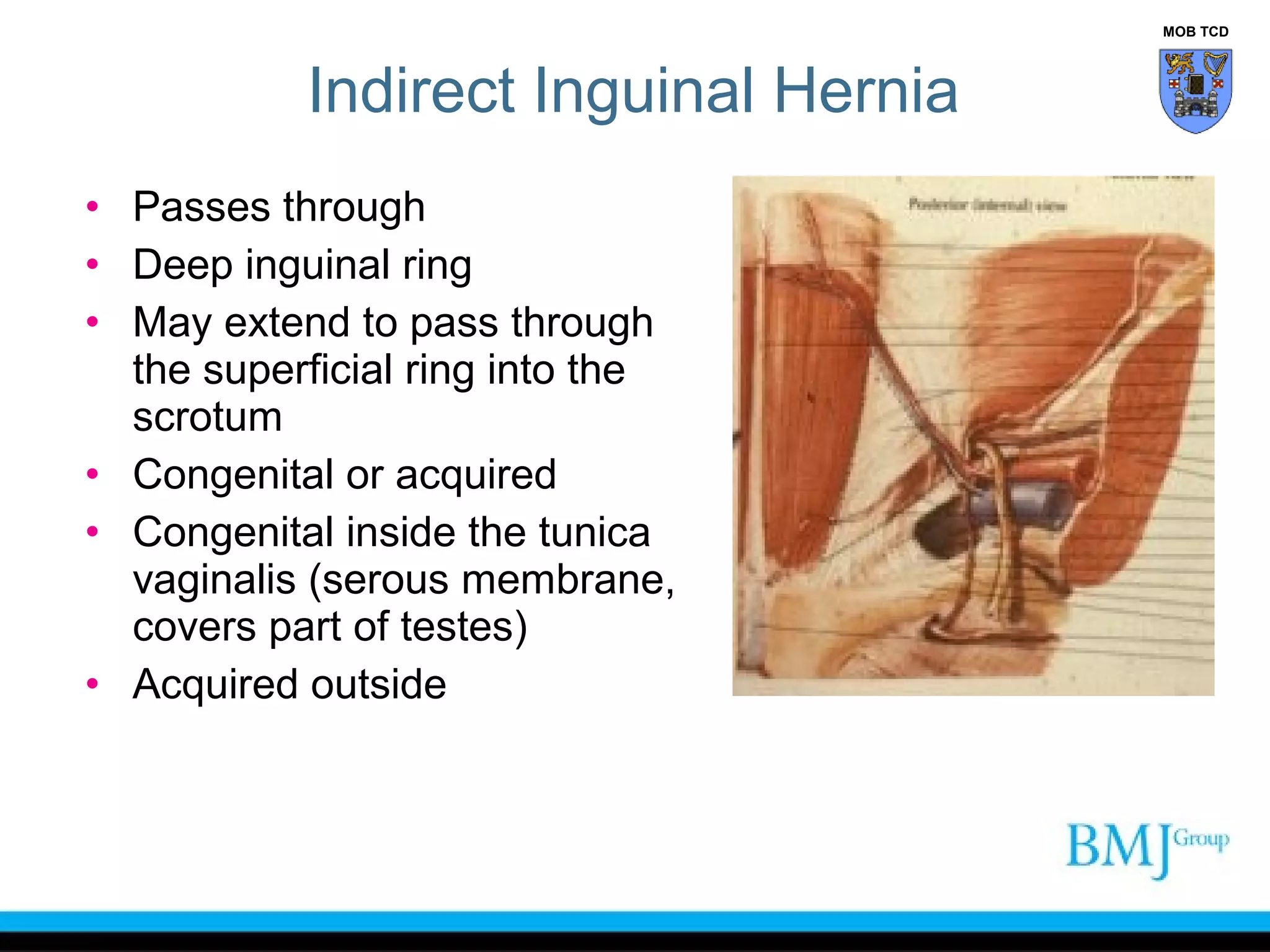 Anatomy of Groin | PPT