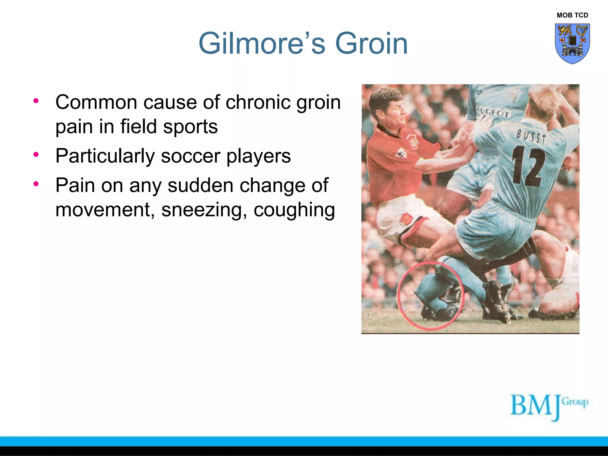 Anatomy of Groin | PPT