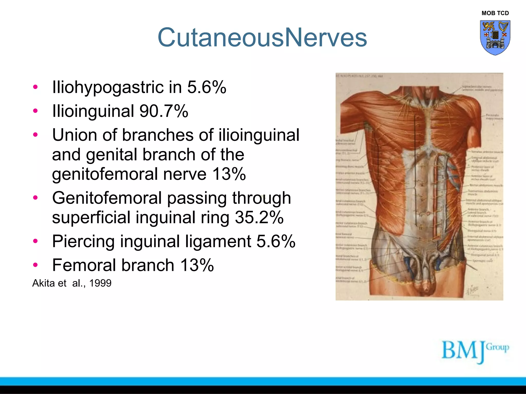 Anatomy of Groin | PPT