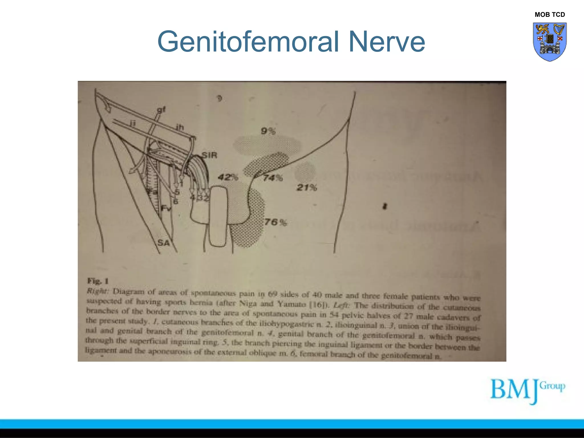 Anatomy of Groin | PPT
