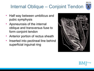 Anatomy of Groin | PPT