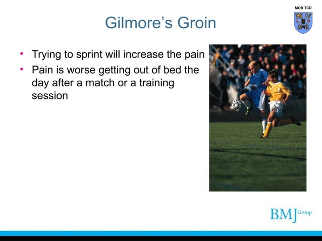 Anatomy of Groin | PPT | Sexual Conditions | Sexual Health