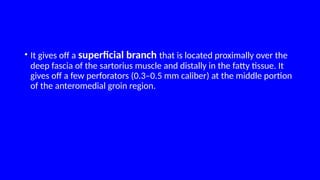 Groin Flap-(Superficial circumflex iliac artery) Dr.AGP.pptx