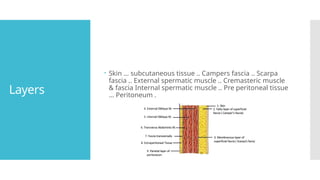 Groin Hernias types history and operations | PPTX
