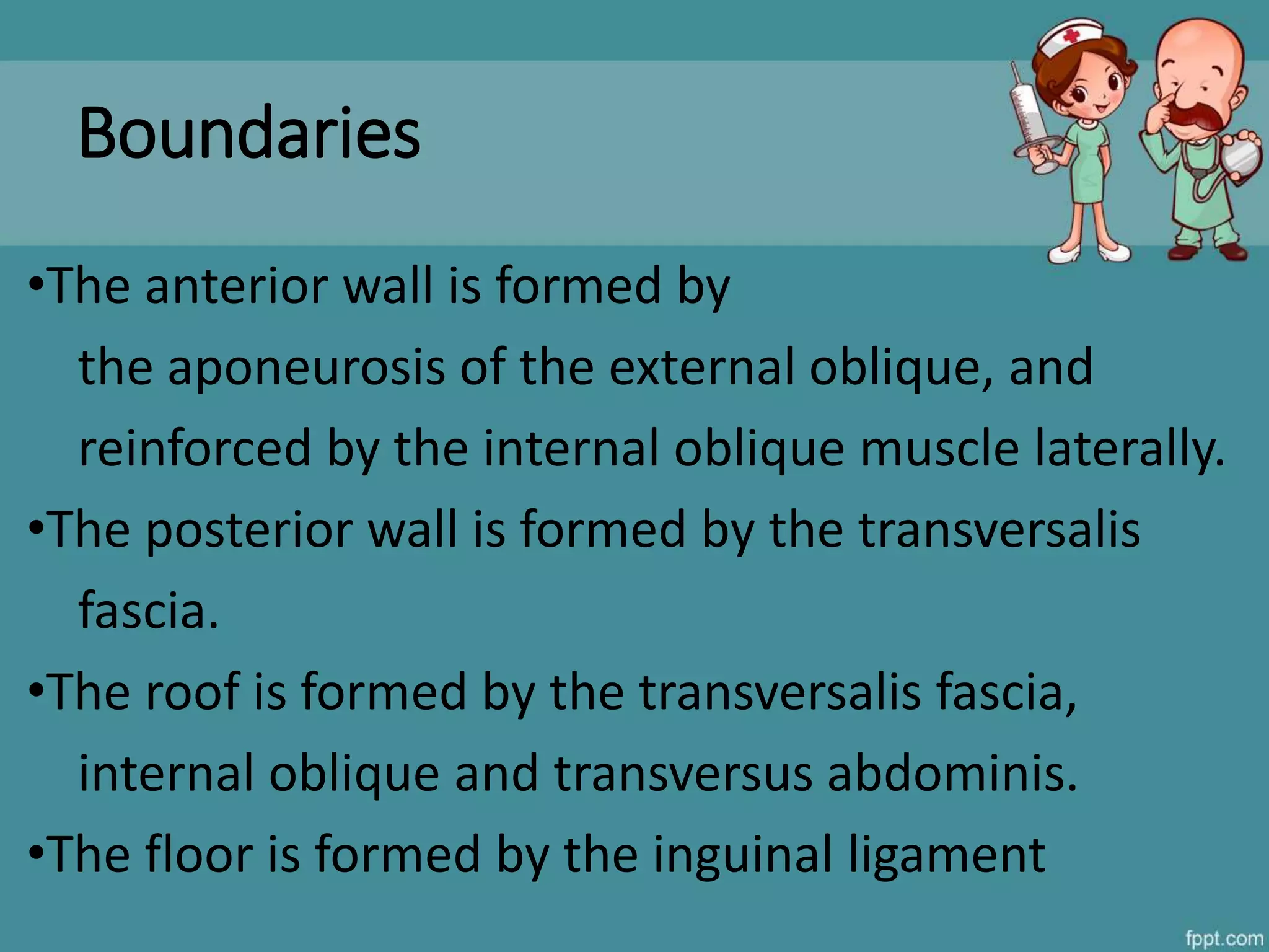 Groin hernias | PPTX