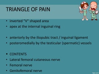 Groin hernias | PPTX