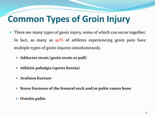 groin injuries.pdf