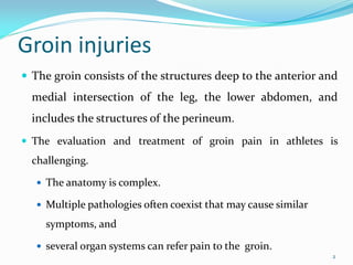 groin injuries.pdf
