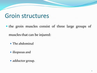 groin injuries.pdf