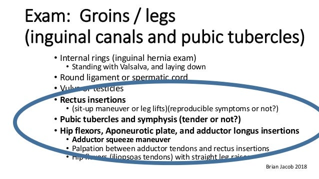 Groin pain and hernia exam final by dr. brian jacob