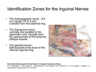 Groin Pain Update | PPT