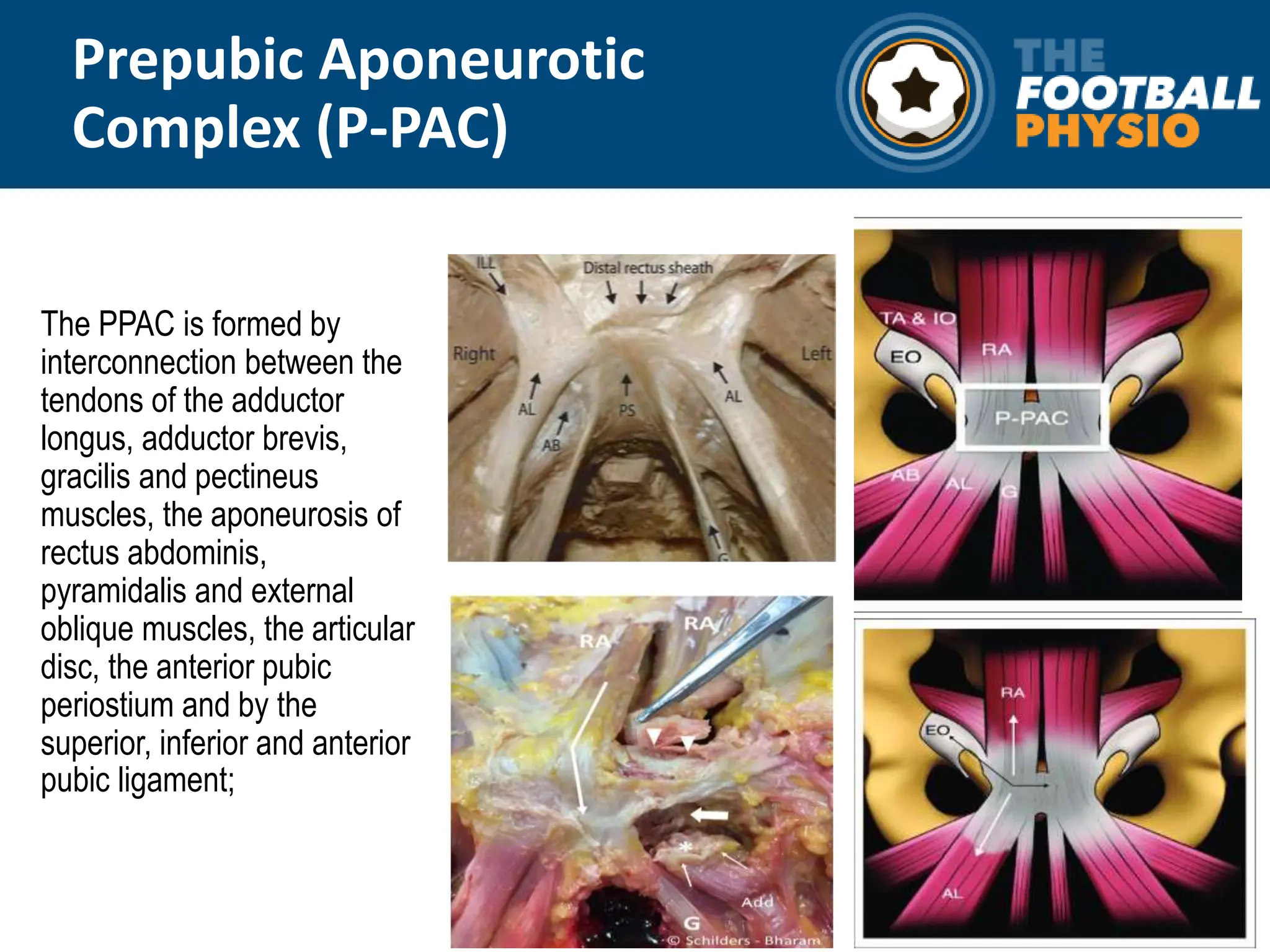Groin Pres - Final.pptx