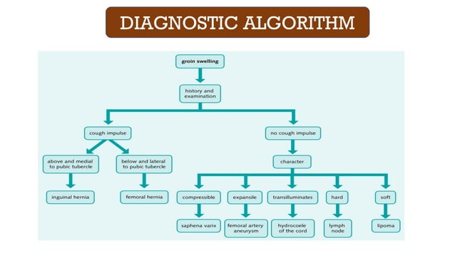 Groin swellings/ Mindmaps | PPT