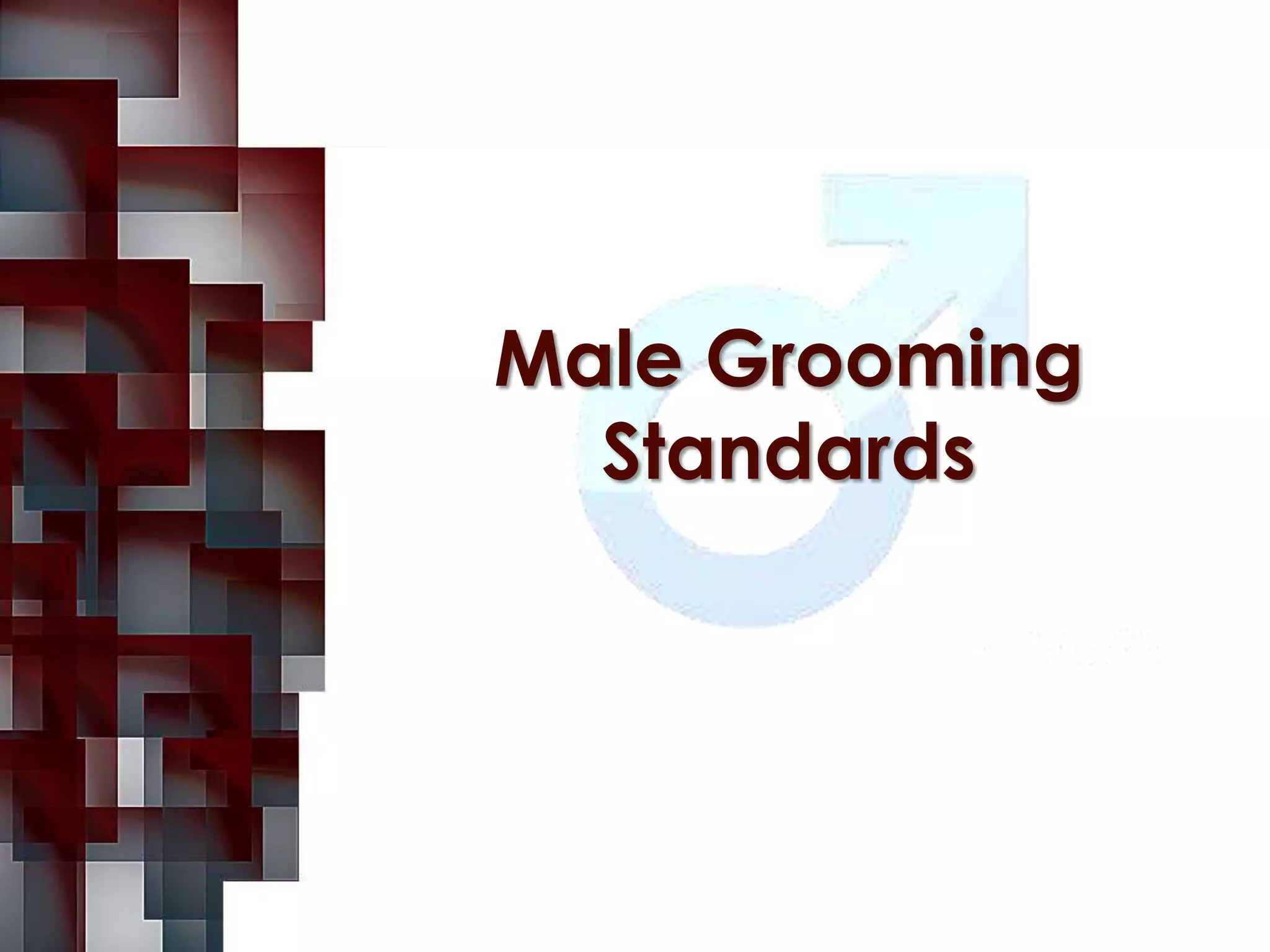 Knowing the Grooming Standards for Work | PPTX