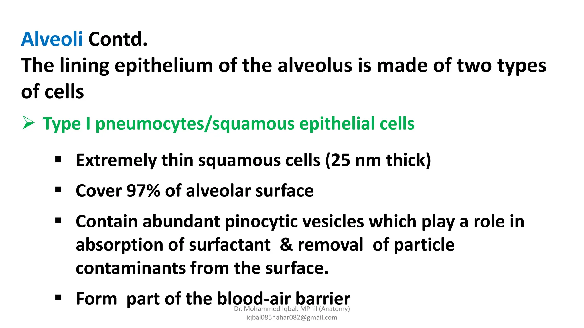 Lungs,Pleura ,thorax, anatomy in details | PDF
