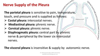 Lungs,Pleura ,thorax, anatomy in details | PDF