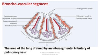 Lungs,Pleura ,thorax, anatomy in details | PDF