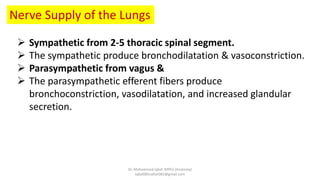 Lungs,Pleura ,thorax, anatomy in details | PDF
