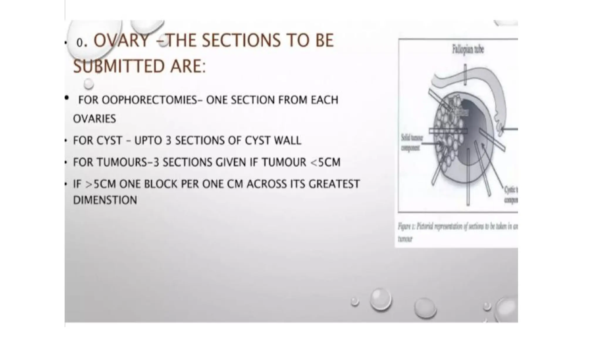 Female genital tract grossing techniques and major lesions.pptx