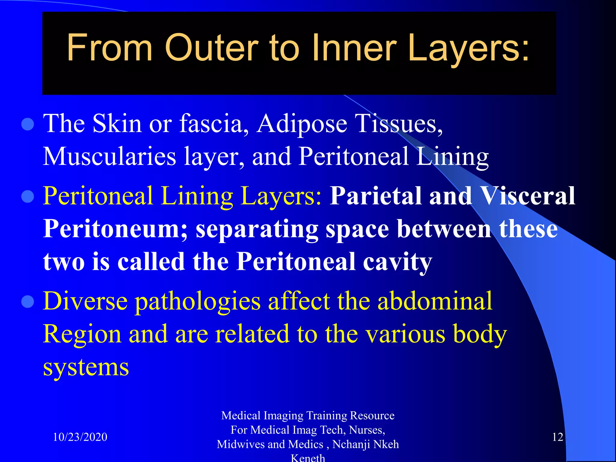 Gross abdominal anatomy radiology training lecture nchanji nkeh keneth ...