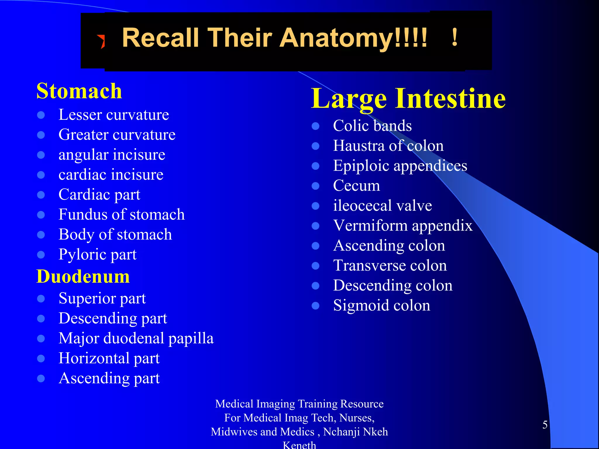 Gross abdominal anatomy radiology training lecture nchanji nkeh keneth ...