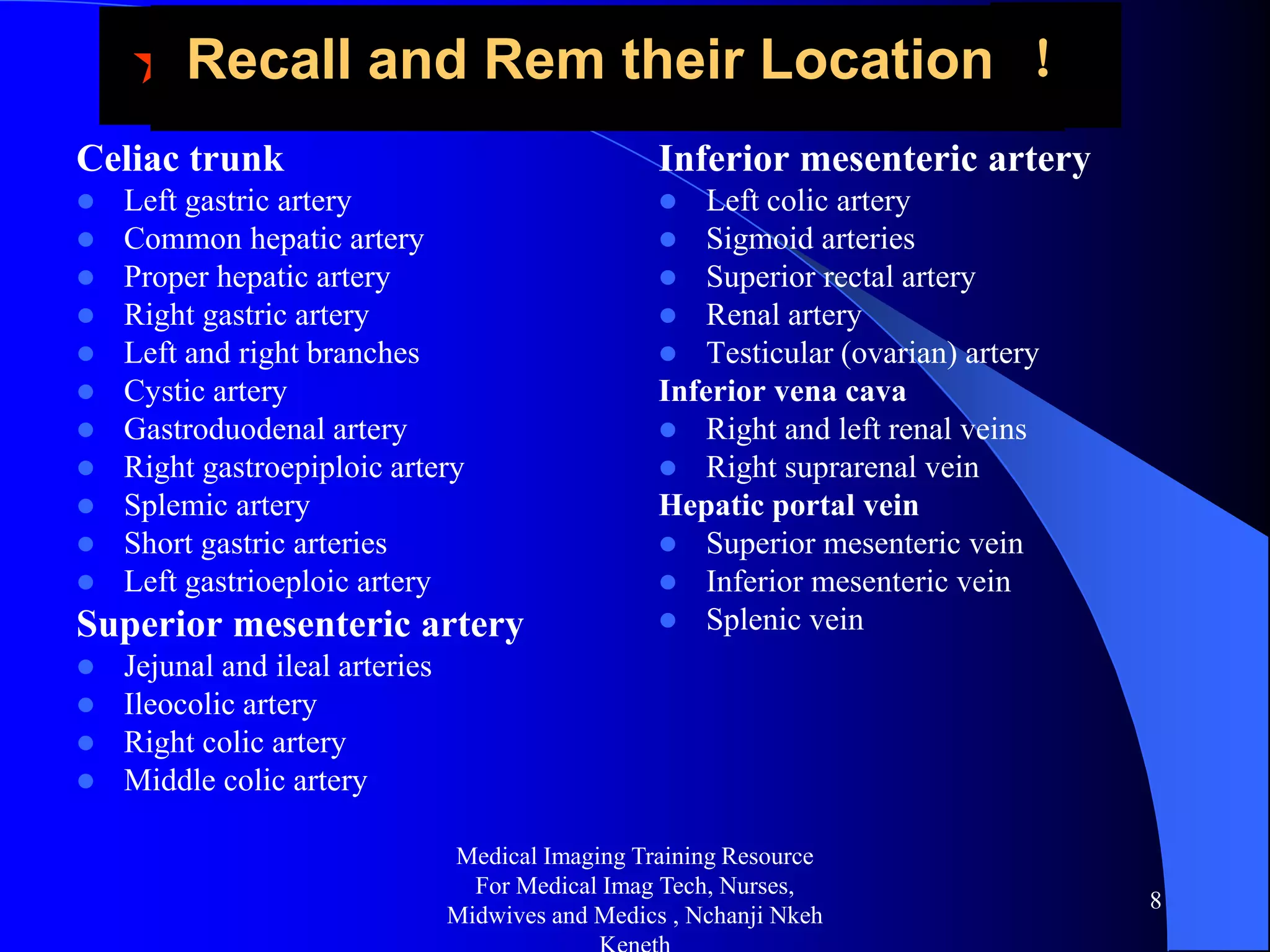 Gross abdominal anatomy radiology training lecture nchanji nkeh keneth ...