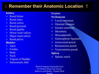 Gross abdominal anatomy radiology training lecture nchanji nkeh keneth | PDF