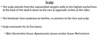GROSS ANAT (H&) 1; Scalp and its layers_.pptx