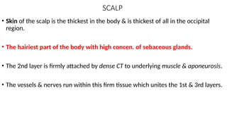 GROSS ANAT (H&) 1; Scalp and its layers_.pptx