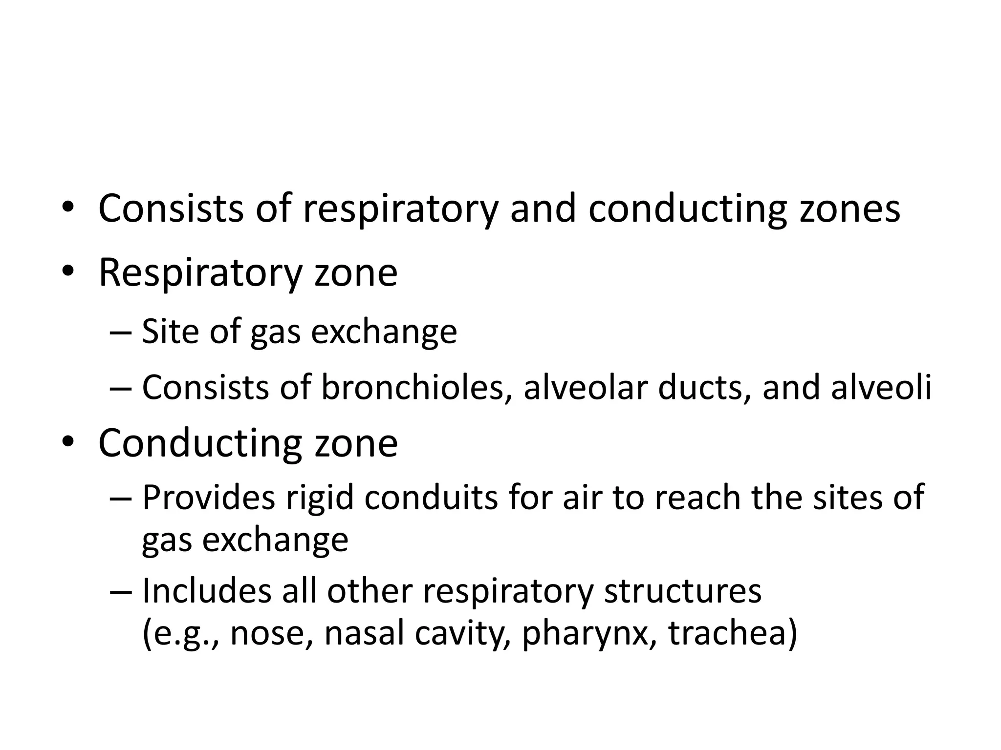 Gross anatomy and development of respiratory system | PPTX