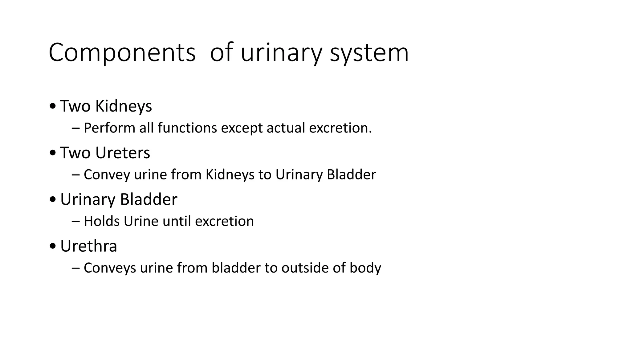 Gross anatomy and Histology of urinary system. | PDF
