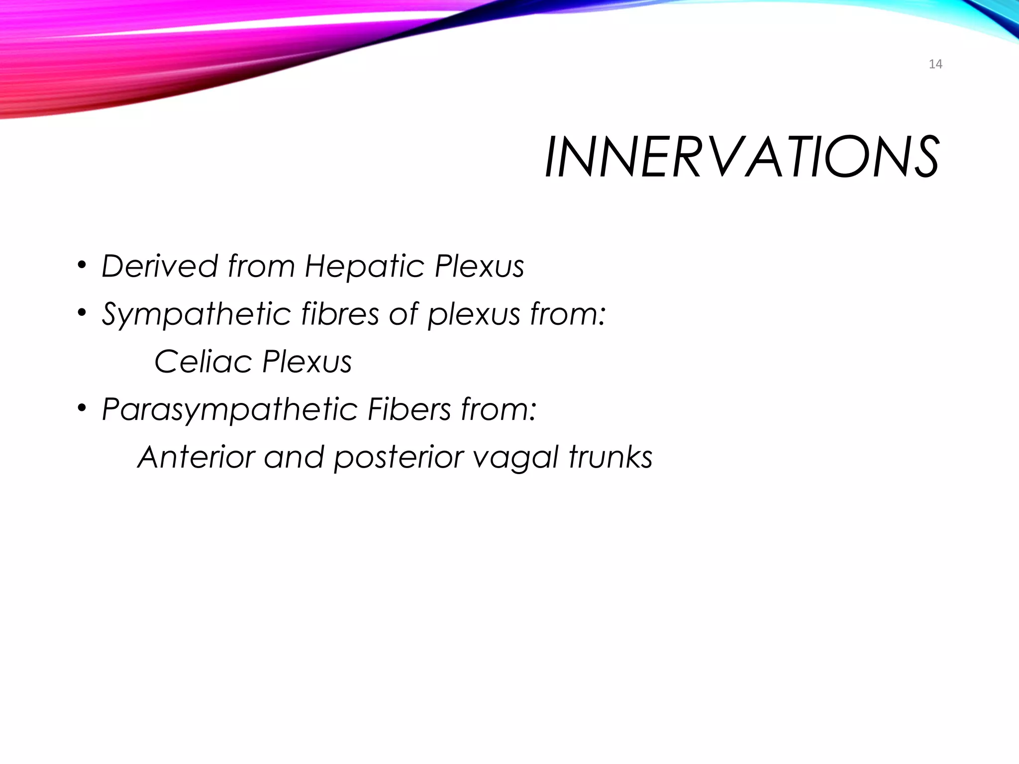 Gross anatomy and histology of liver | PPT