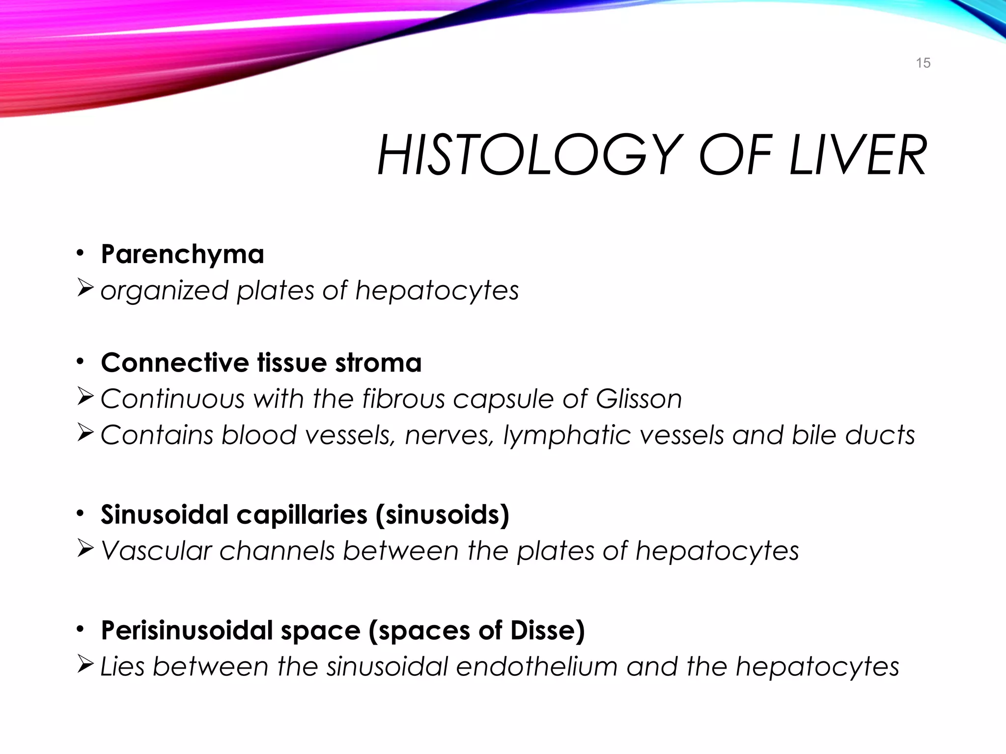 Gross anatomy and histology of liver | PPT