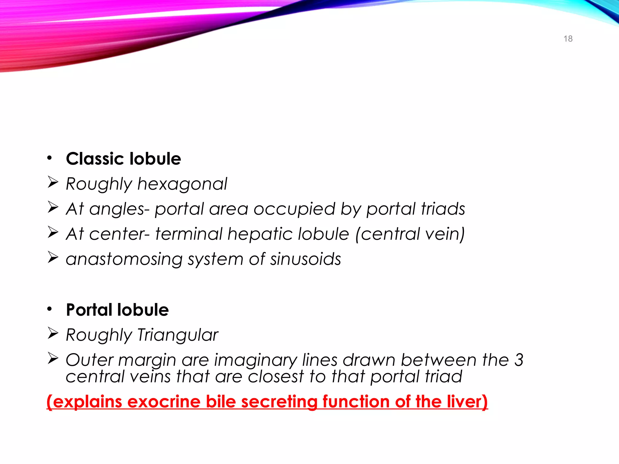 Gross anatomy and histology of liver | PPT