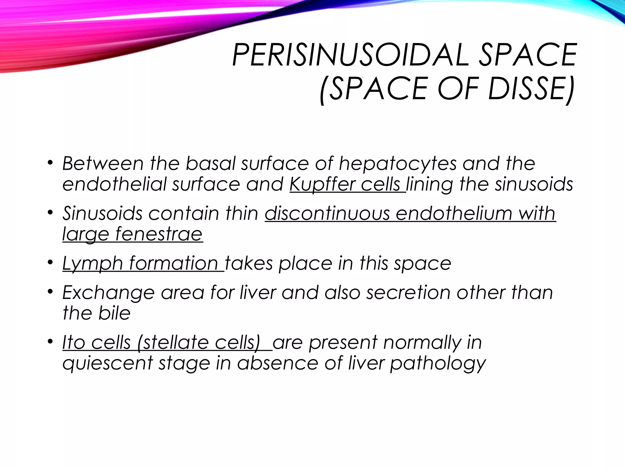 Gross anatomy and histology of liver | PPT