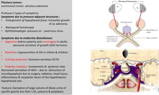 Gross anatomy and histology of pituitary gland | PPTX