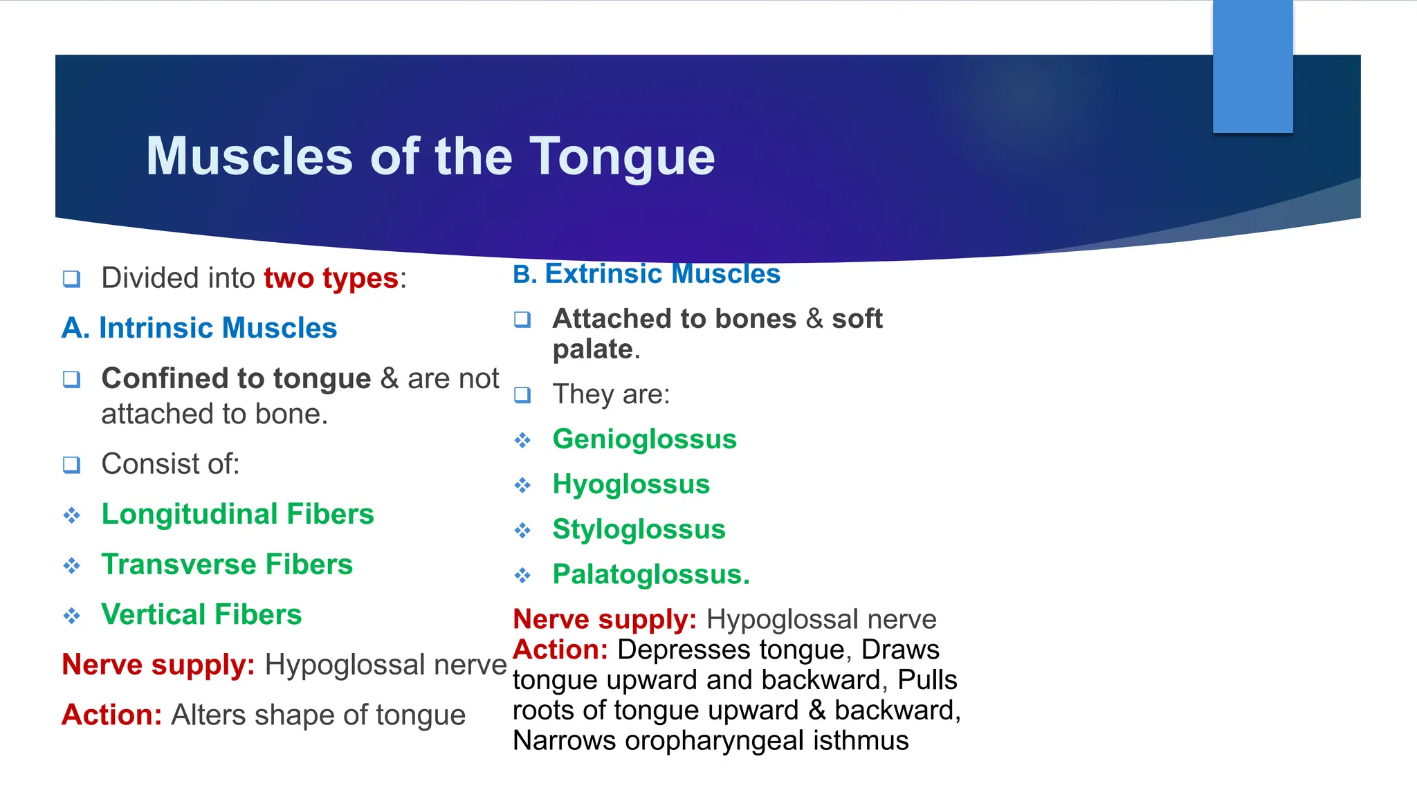 Gross Anatomy and Histology of Tongue by Dr. Rabia Inam Gandapore.pptx