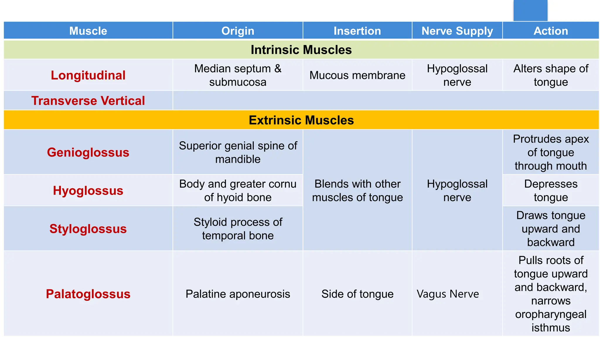 Gross Anatomy and Histology of Tongue by Dr. Rabia Inam Gandapore.pptx